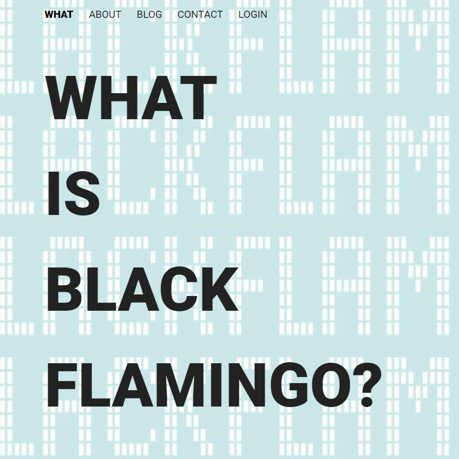 black flamingo projects | what is black flamingo?